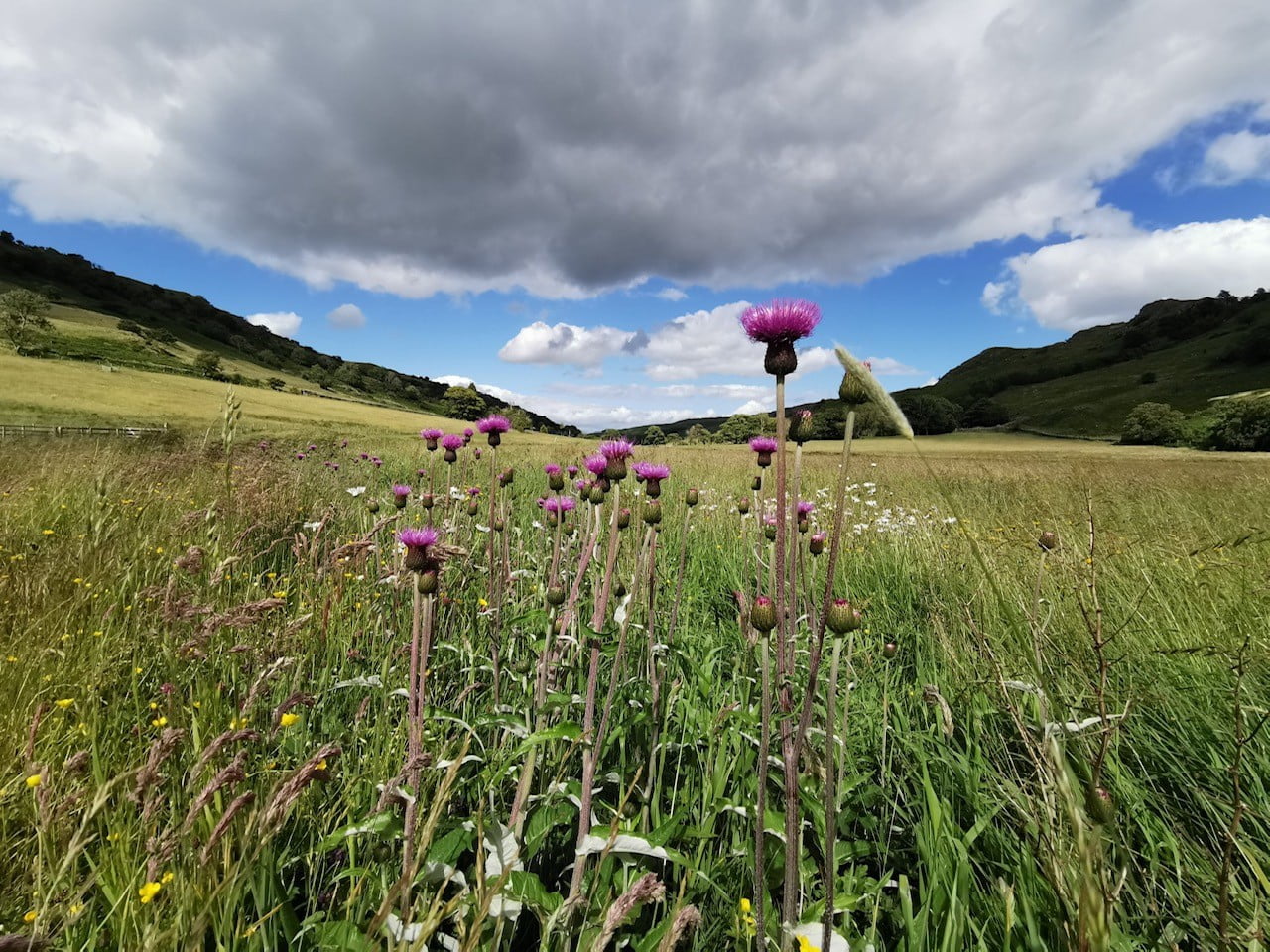 Celebrating our work: Swindale Valley has won a 2022 UK River Prize ...